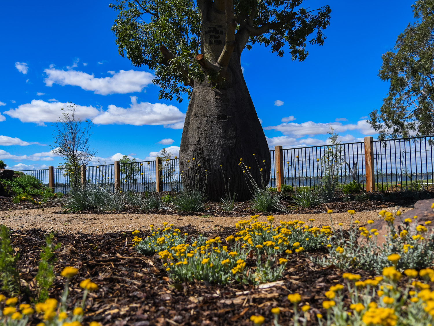 Super Advanced Tree Planting