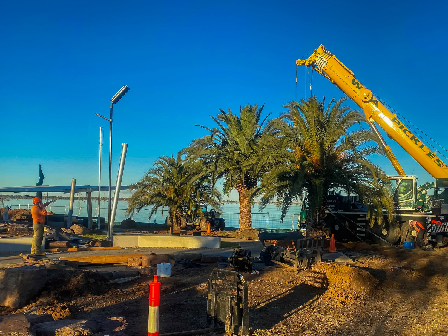 Super Advanced Tree Planting